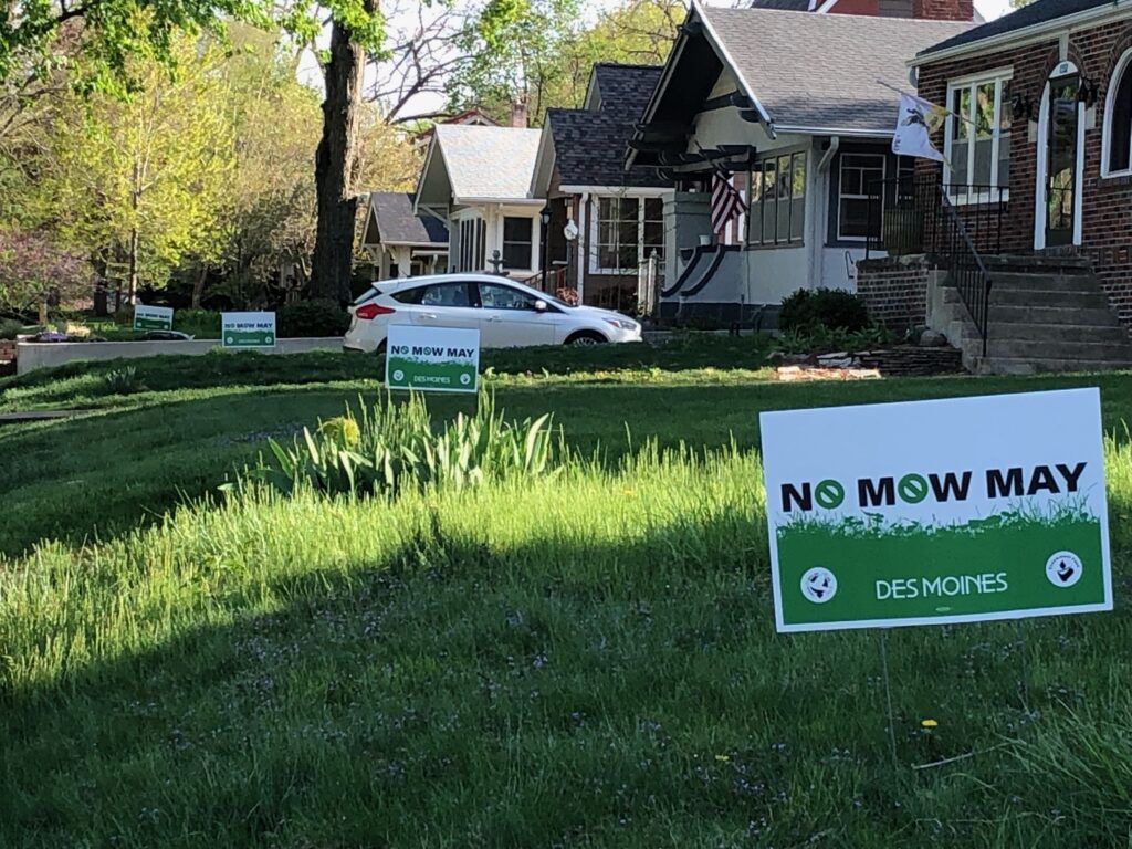 No Mow / Less Mow May - WILPF - Des Moines